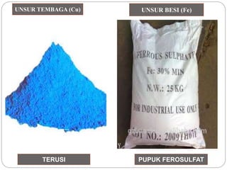 Diskusi panel praktikum kesuburan dan kesehatan tanah | PPTX