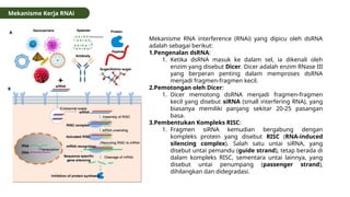 toksikologi berbasis pengembangan RNAi untuk tanaman | PPT
