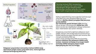 toksikologi berbasis pengembangan RNAi untuk tanaman | PPT