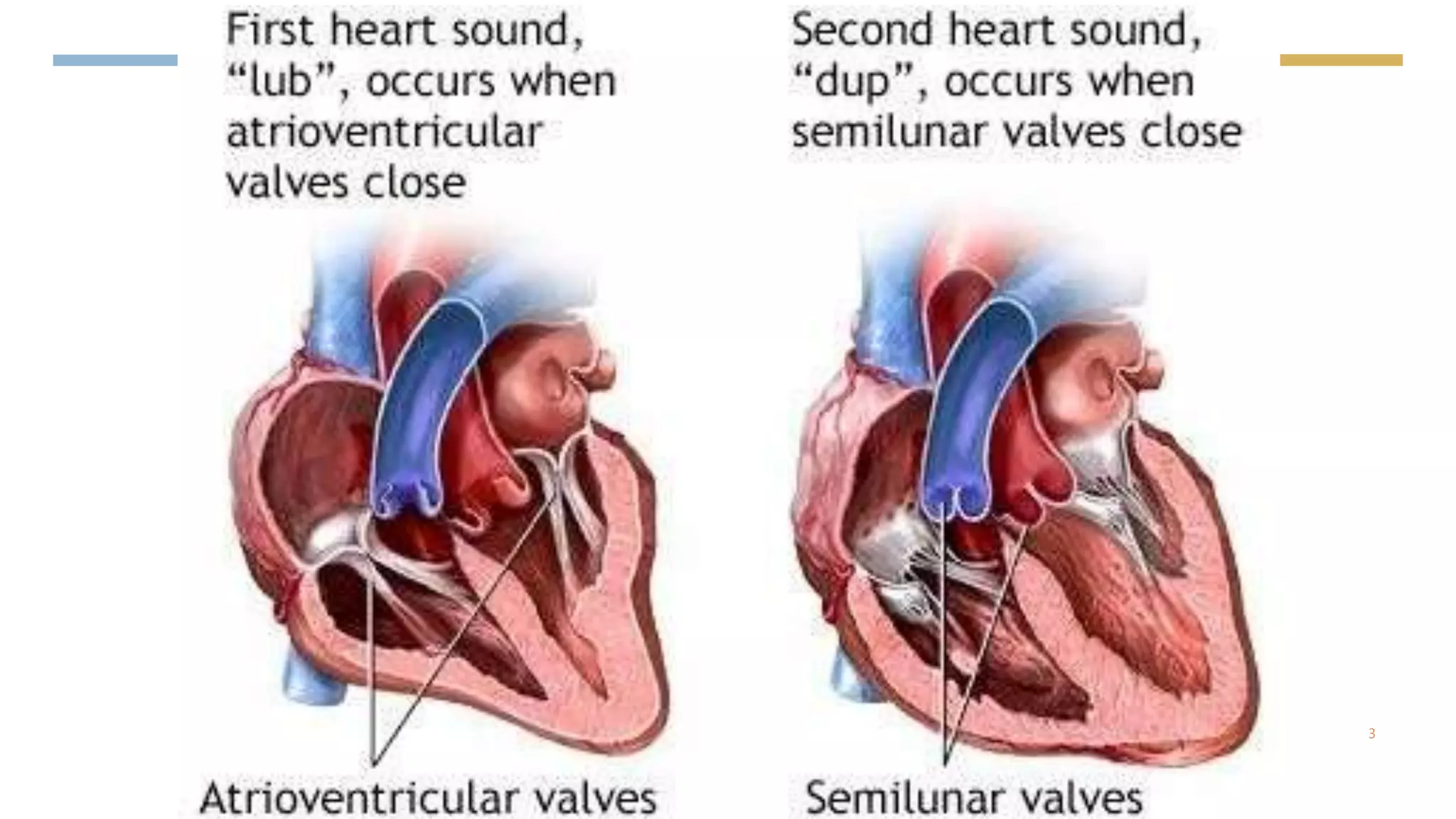 Diskusi Topik - EKG.pptx