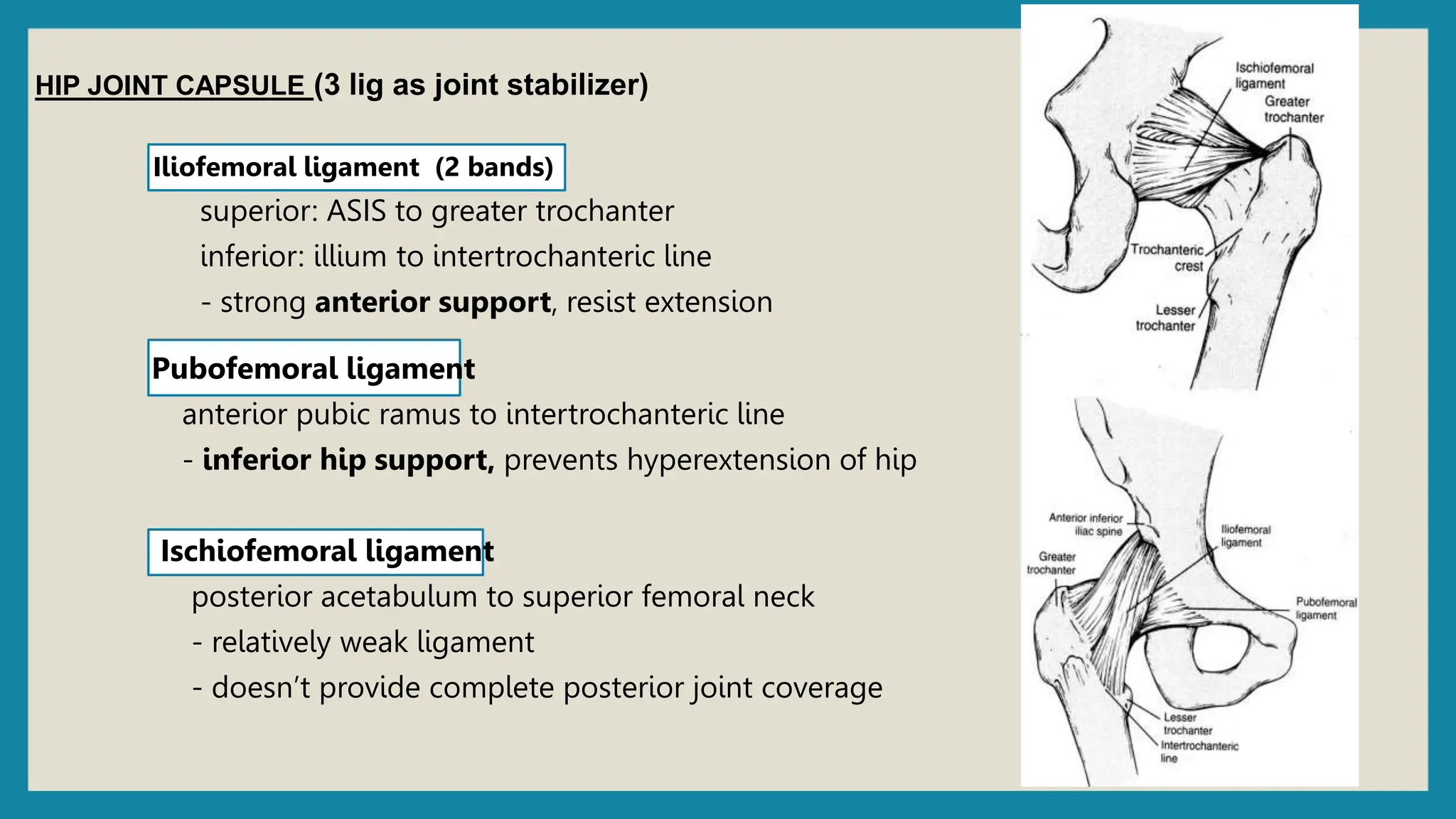 hip, shoulder and elbow dislocation.pptx