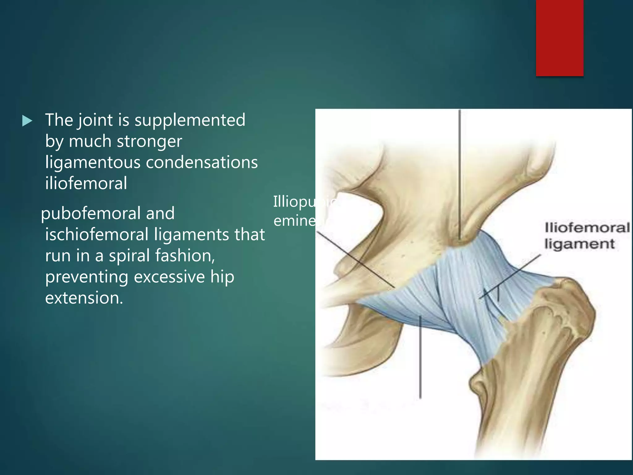 Dislocation of hip | PPTX