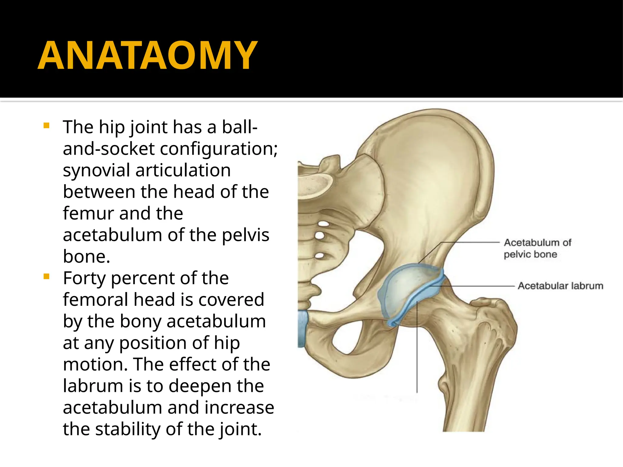 dislocation of hip in adultss class.pptx | Death, Injury, or Military Conflict | Sensitive Topics