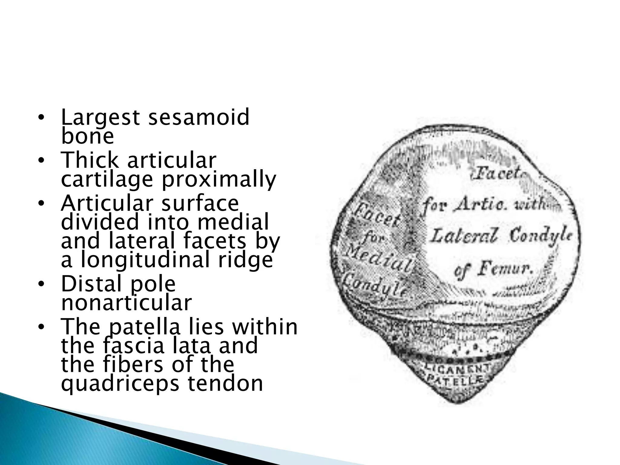 Dislocation of patella | PPTX