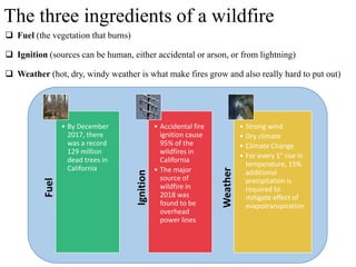 Wild Fire season | PDF