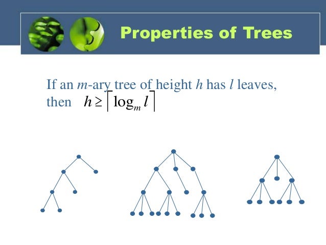 Discrete Mathematics Tree