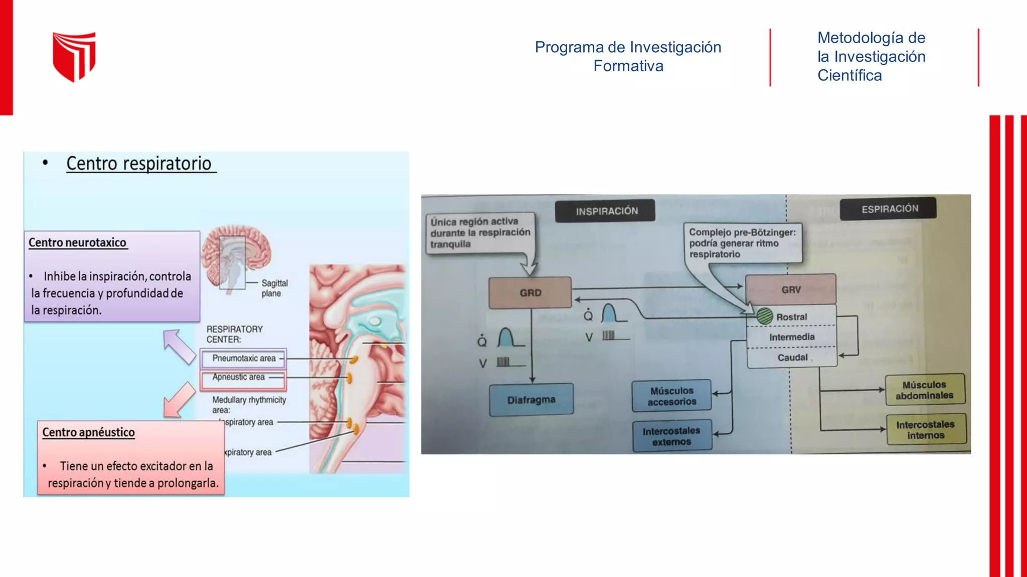 Disnea Aguda Y Cianosis 1pdf