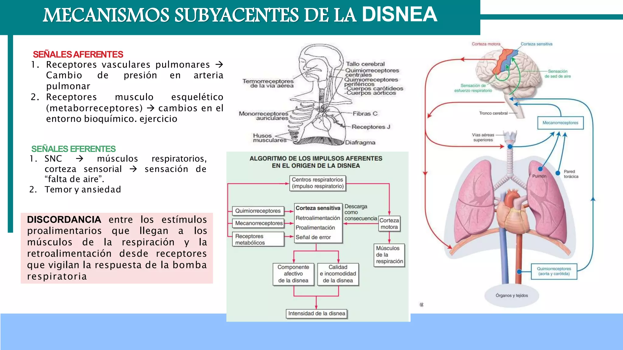 DISNEA Y DOLOR PLEURITICO | PPTX
