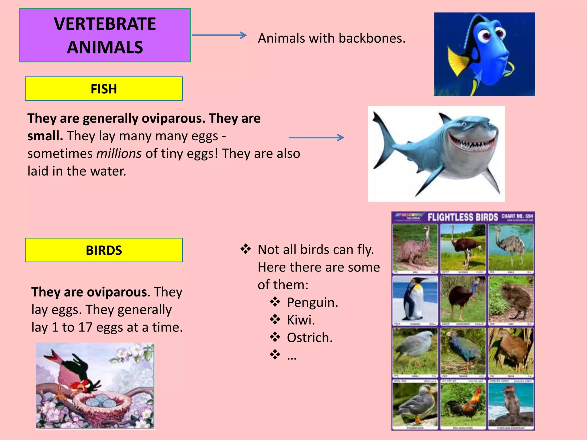 Disney animals classification 1 | PPTX