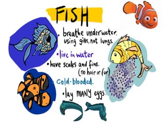 Disney animals classification 1 | PPT