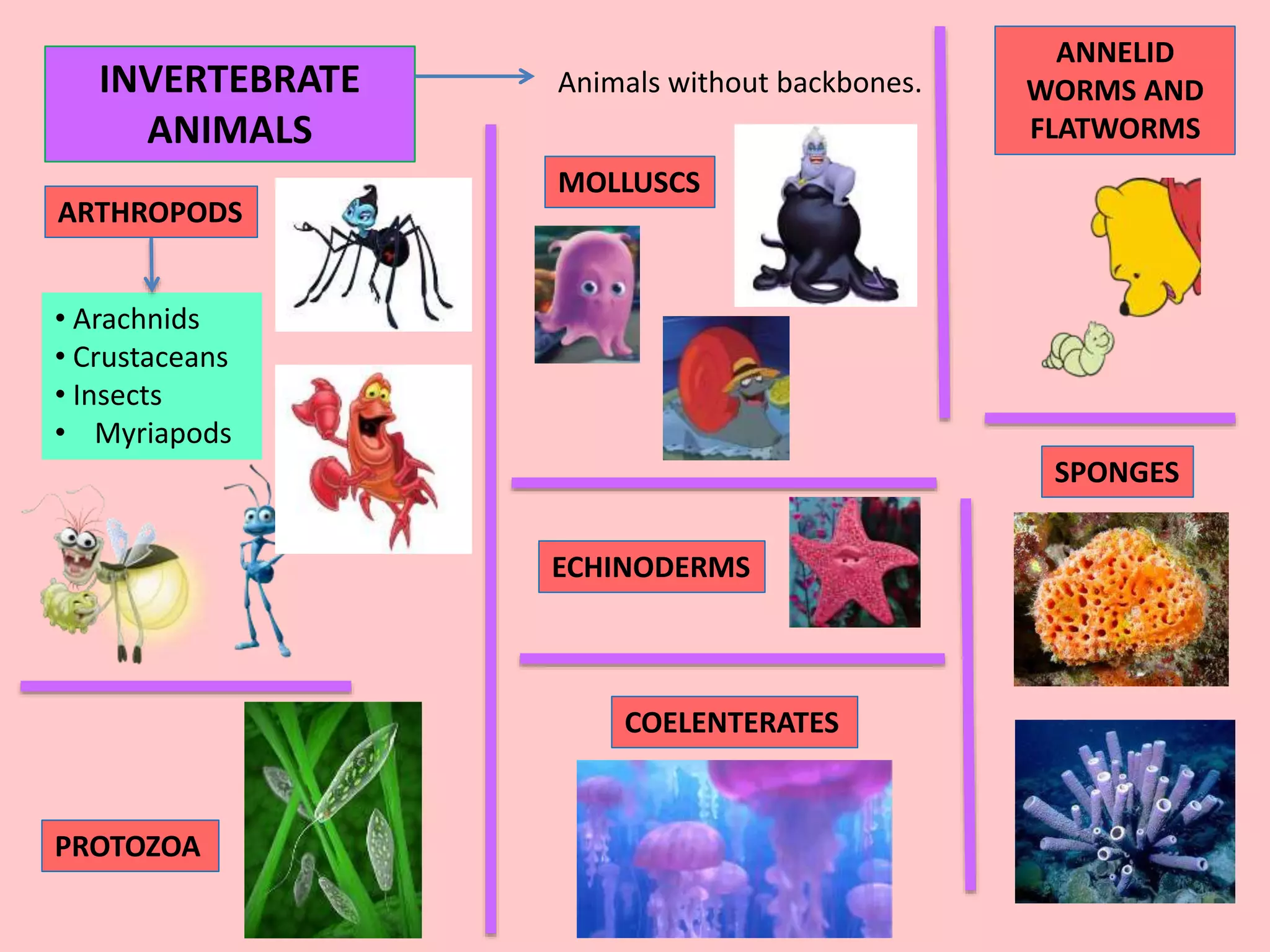 Disney animals classification 3 | PPT