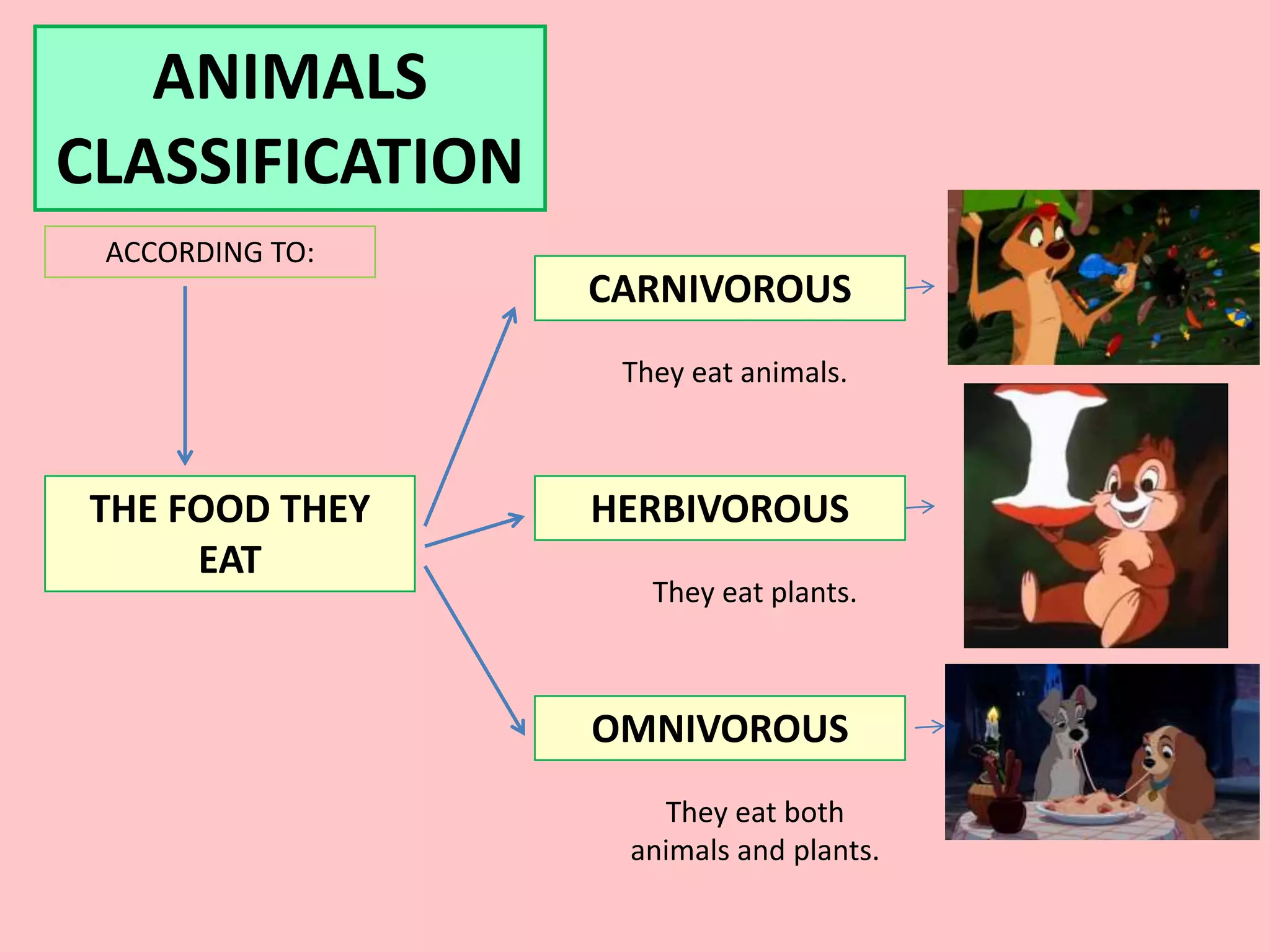 Disney animals classification 3 | PPT