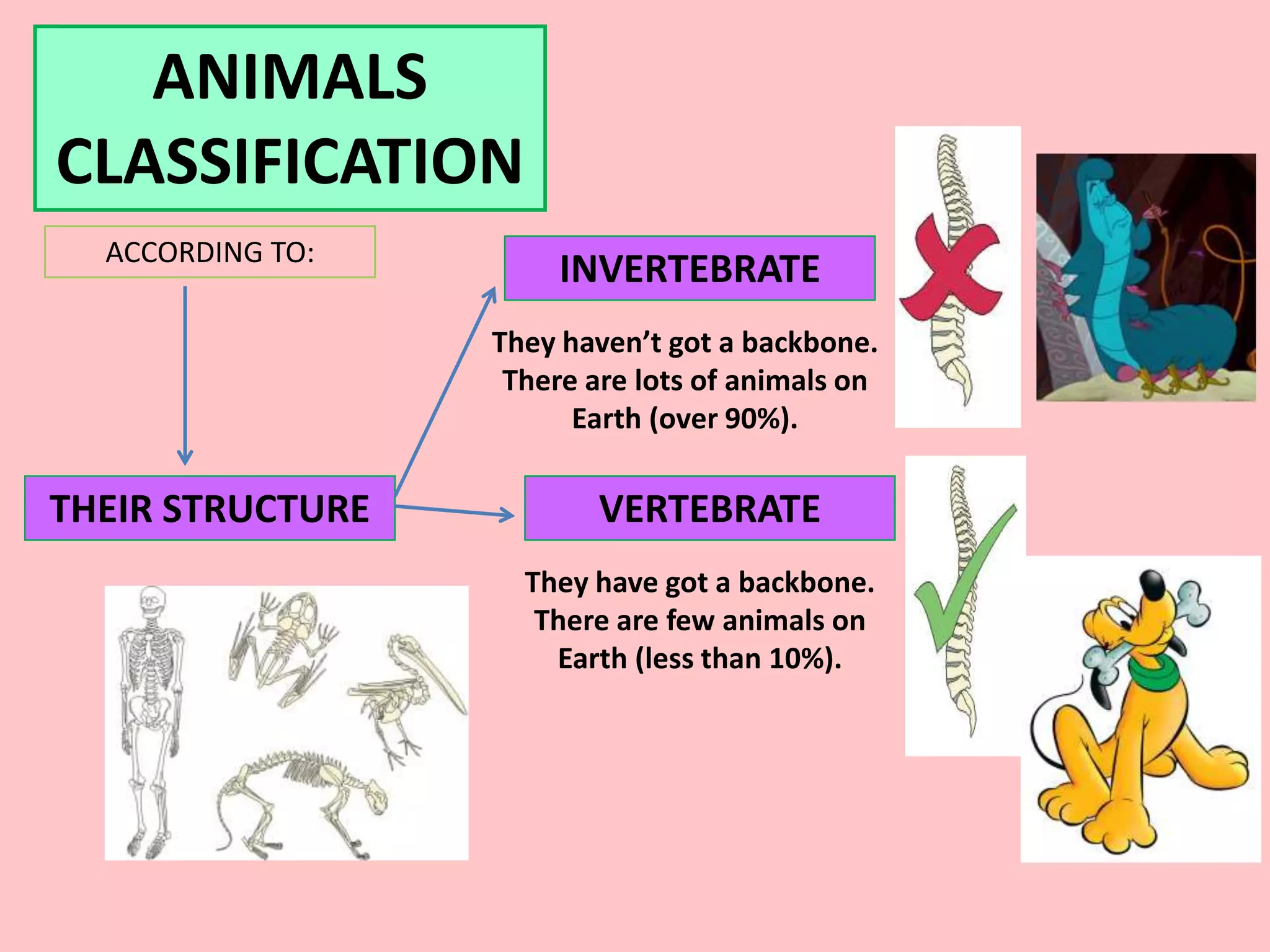 Disney animals classification 3 | PPT