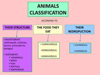 Disney animals classification 3 | PPTX