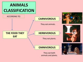 Disney animals classification 3 | PPTX