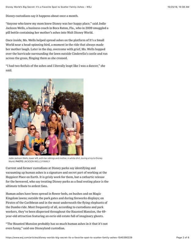 Disney World’s Big Secret: It’s a Favorite Spot to Scatter Family Ashes ...