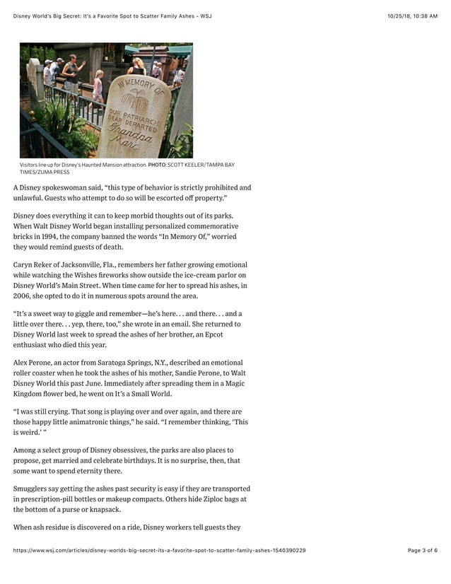 Disney World’s Big Secret: It’s a Favorite Spot to Scatter Family Ashes ...