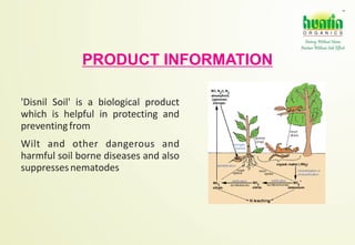 Disnil Soil- Solution for Wilt disease | PDF