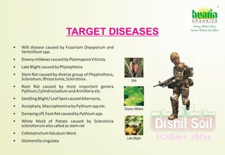 Disnil Soil- Solution for Wilt disease | PDF