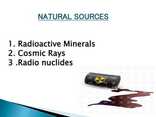 simple presentation of noise and radioactive pollution | PPTX