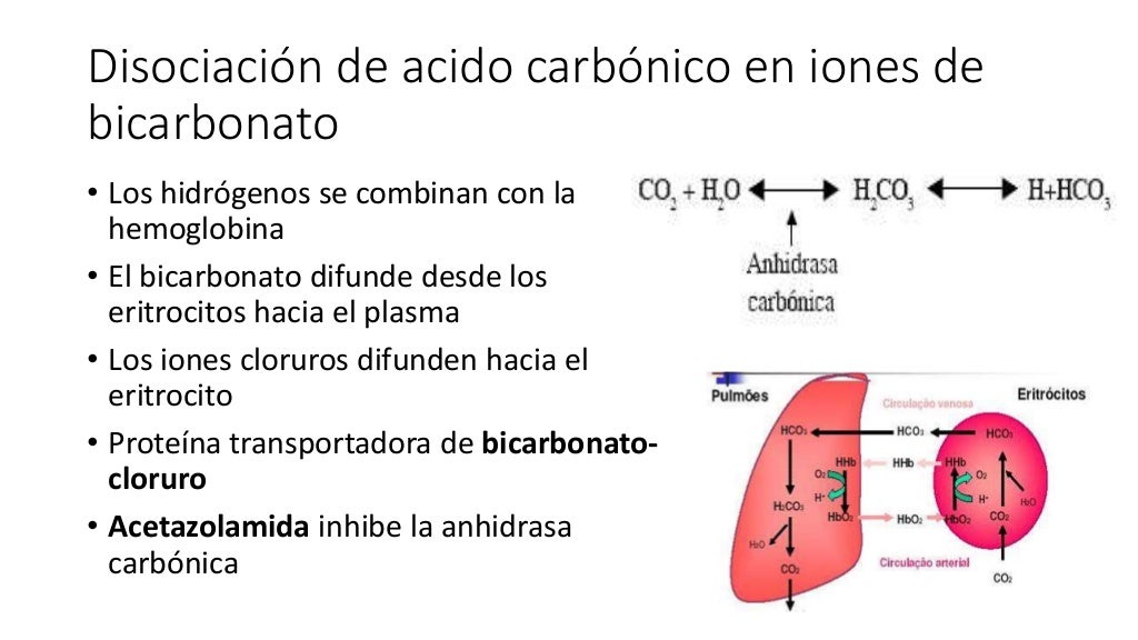 Disociación de acido carbónico en iones de bicarbonato