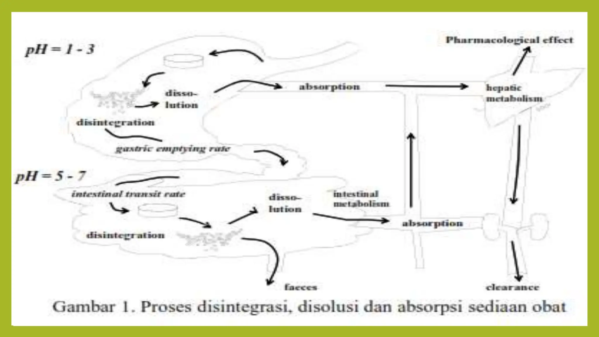 uji disolusi obat Disolusi I dan II .pptx