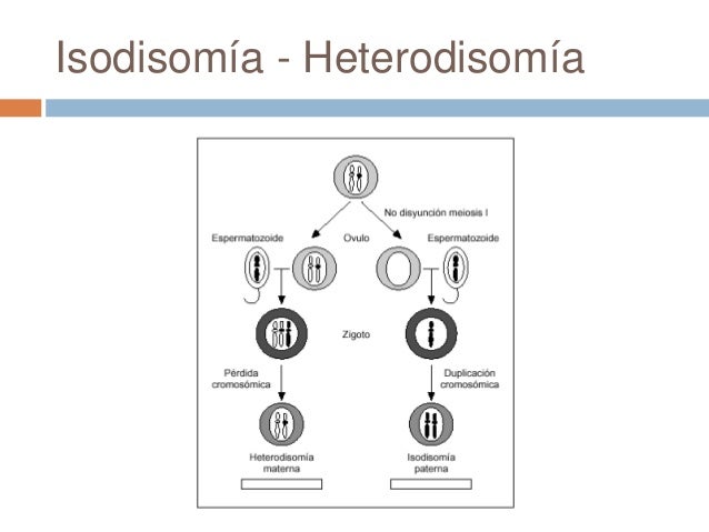 Disomía uniparental