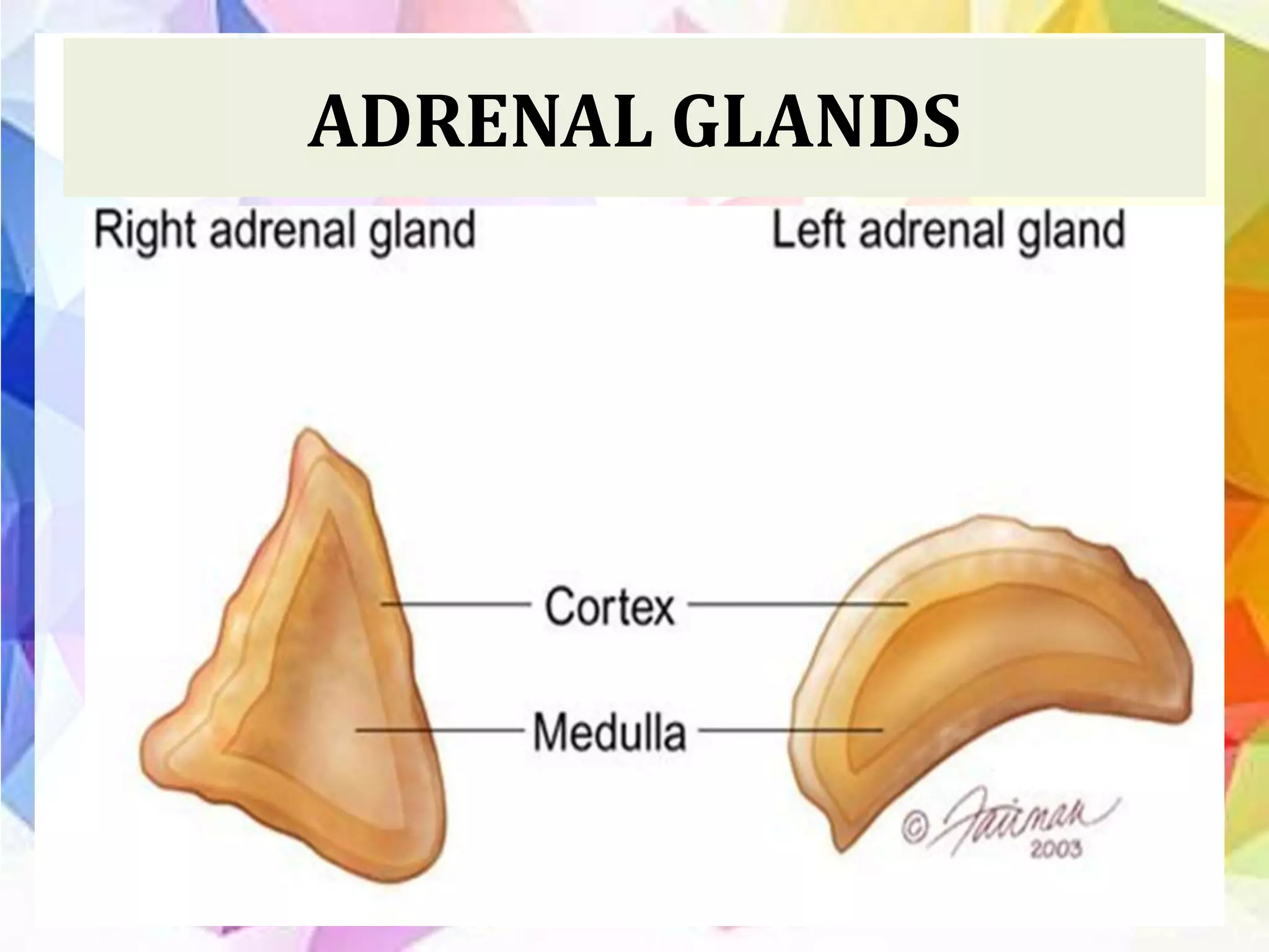 Disorder of adrenal cortex | PPTX