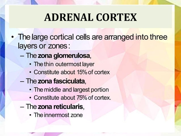 Disorder of adrenal cortex | PPTX | Hormonal Disorders | Endocrine and ...