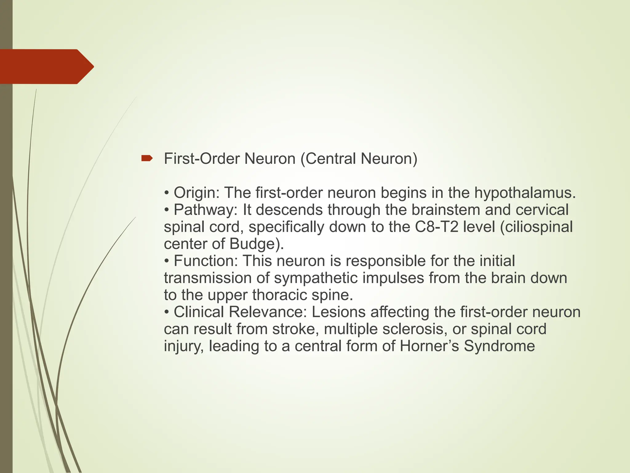Disorders of autonomic Nervous system for Physiotherapy students | PPTX