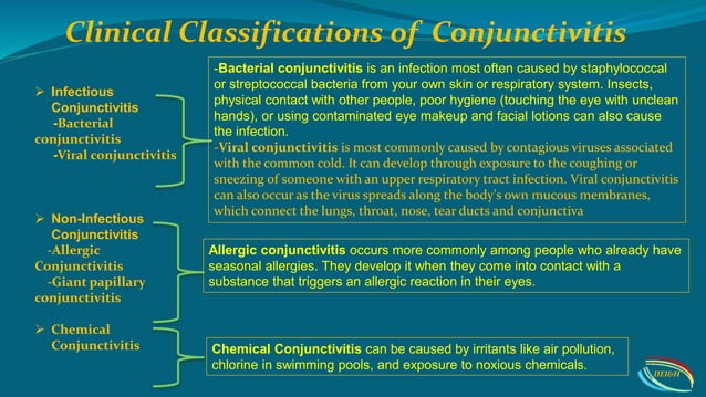 Conjunctivitis | PPTX | Eye and Vision Conditions | Diseases and Conditions
