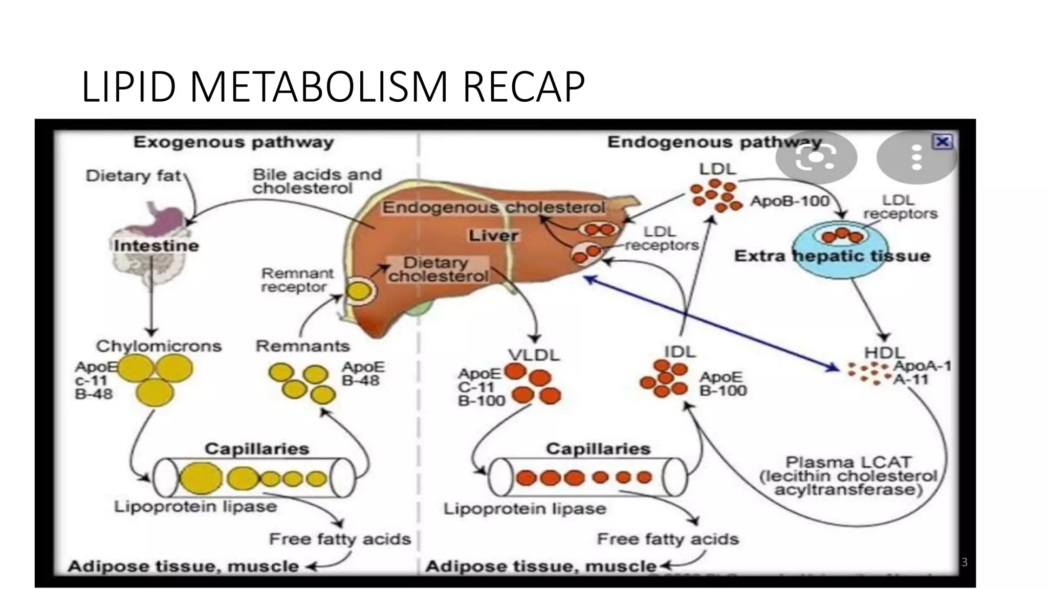 DISORDER OF LIPIDS METABOLISM PART 1.pptx