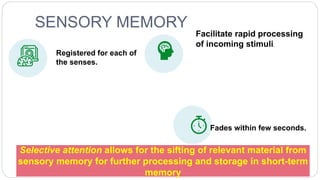 disorder of memory ppt.pptx