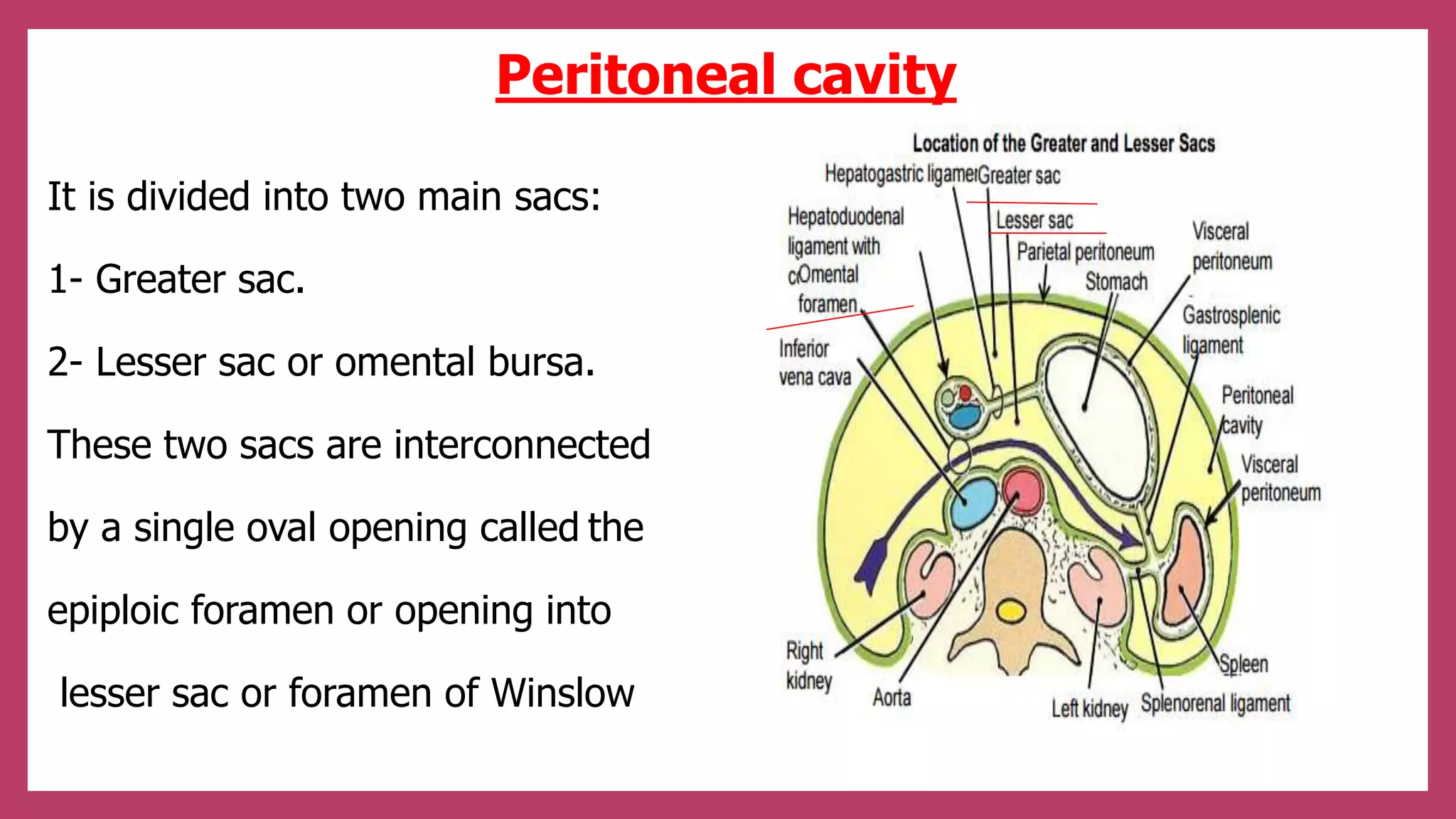 Disorder of peritonum | PPTX