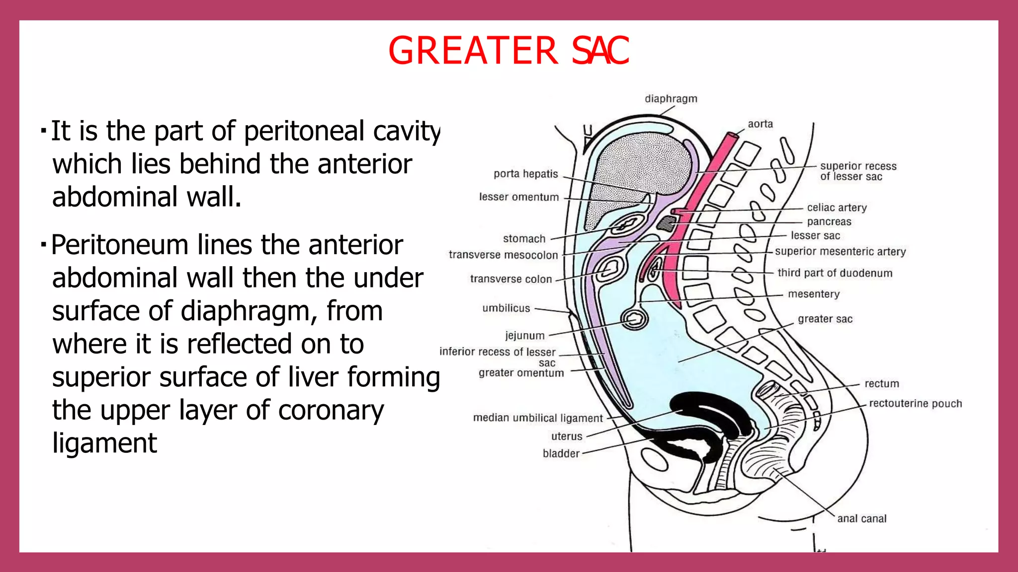 Disorder of peritonum | PPTX