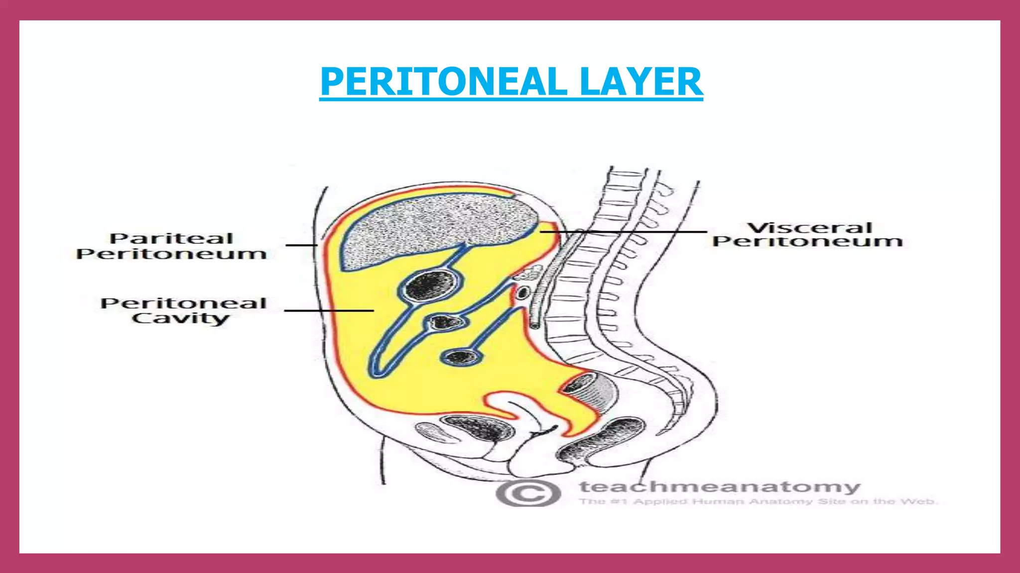 Disorder of peritonum | PPTX