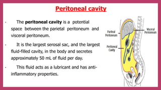 Disorder of peritonum | PPTX