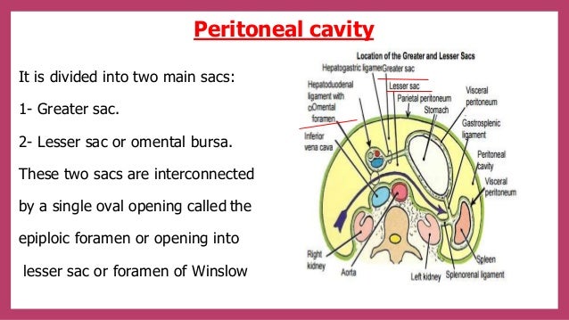 Disorder of peritonum
