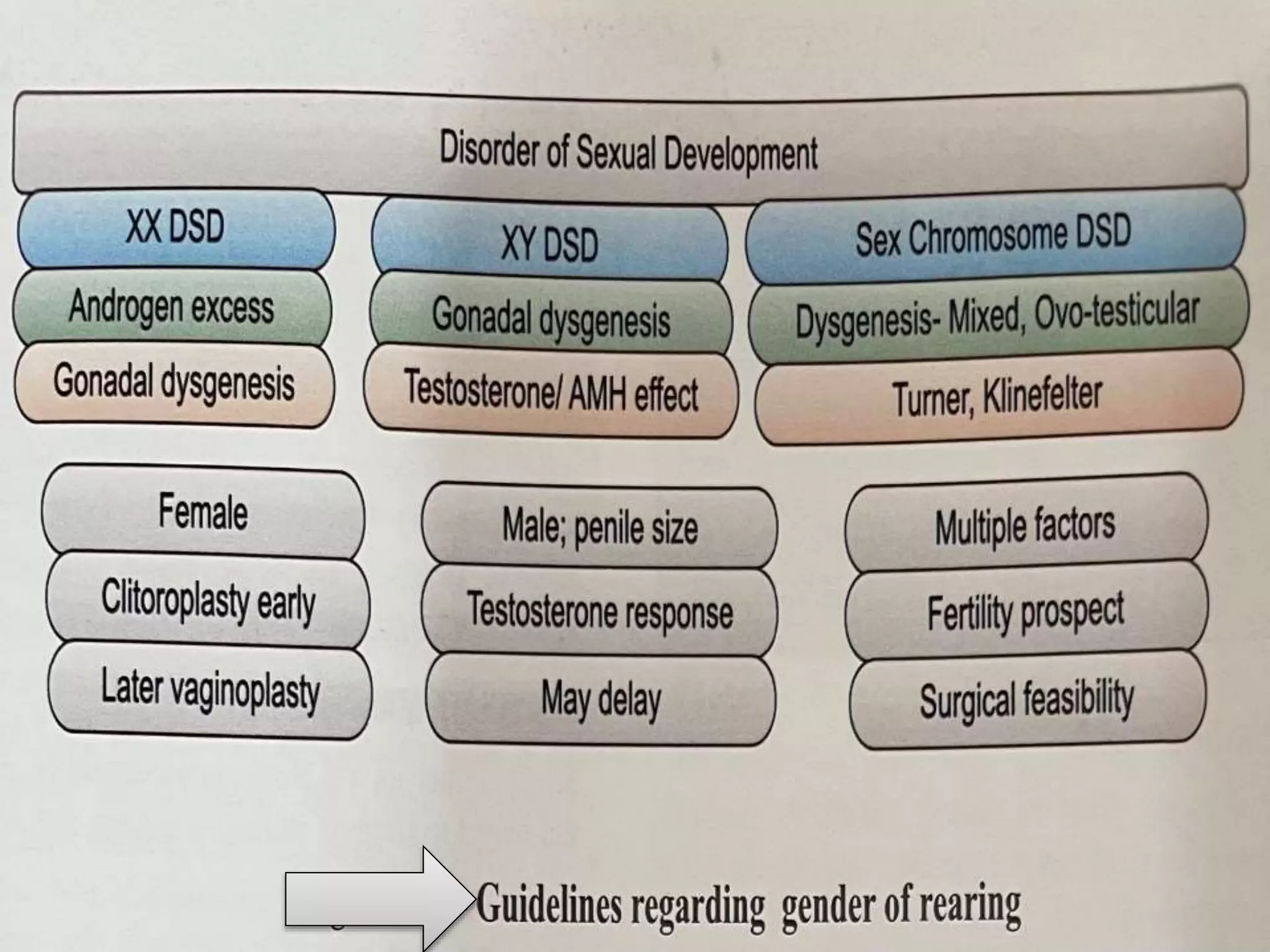 Disorder of sexual development | PPTX