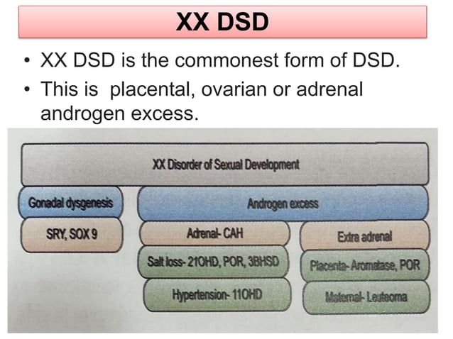 Disorder of sexual development | PPTX | Hormonal Disorders | Endocrine ...
