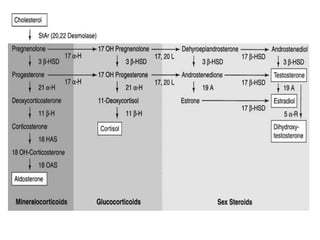 Disorder of Sexual Development DSD by Dr. Majid Kakakhel, Team C, IKD ...