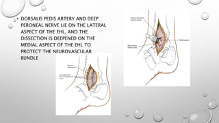 Disorder of tibialis anterior and tibialis posterior tendon | PPTX