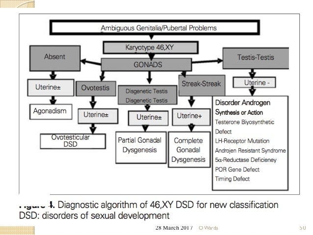 Disorders Of Sex Development O Warda