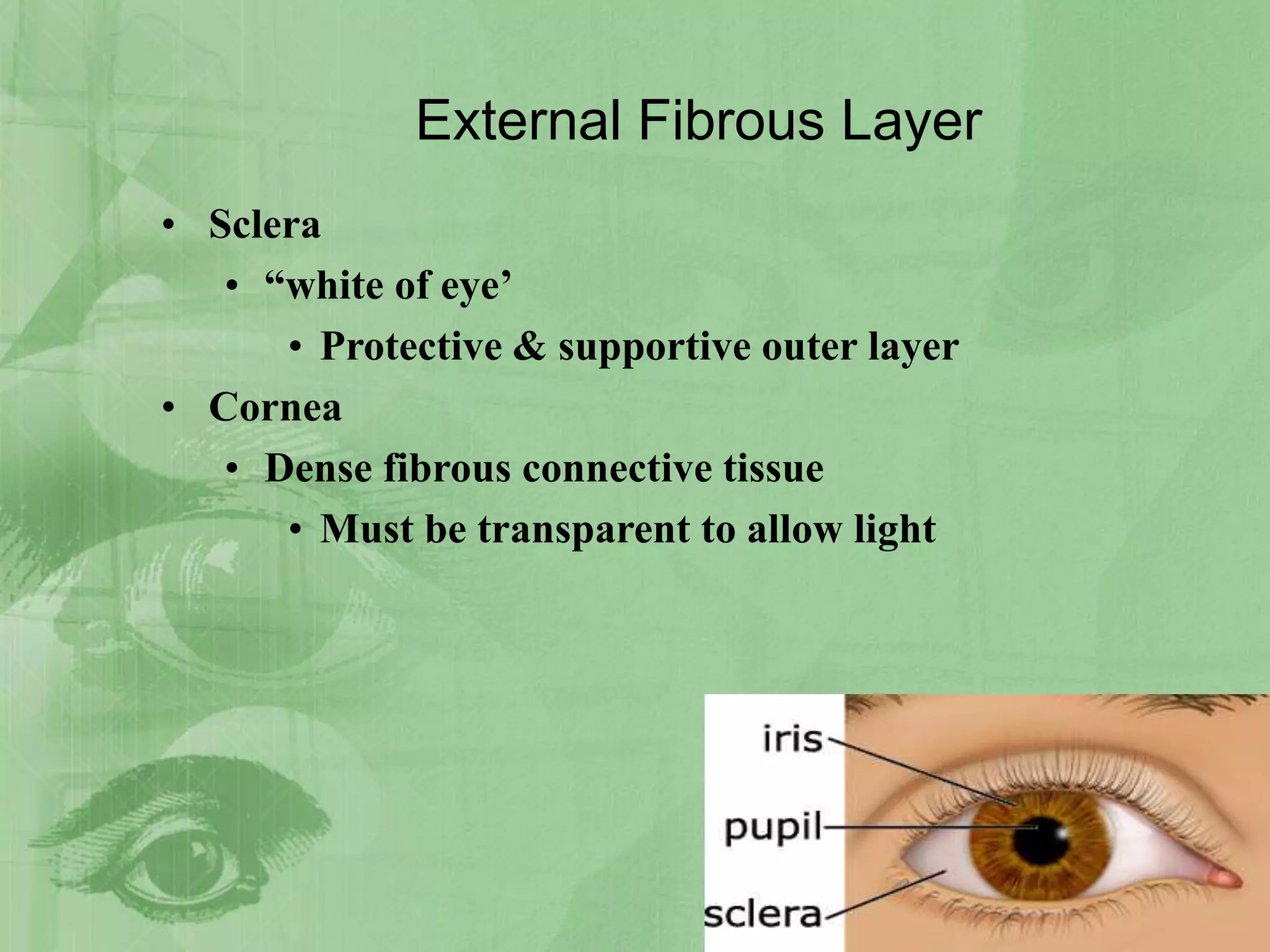 Disorders and conditions of the eye | PPTX