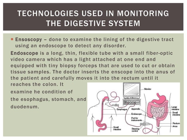 Disorders and diseases of the digestive system | PPTX | Digestive ...