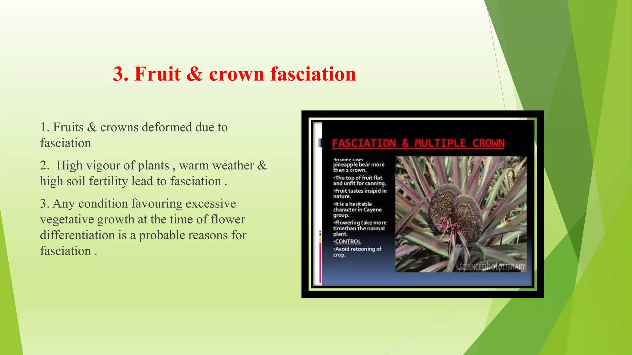 Physiological Disorders of fruit crops by Pooja | PPTX
