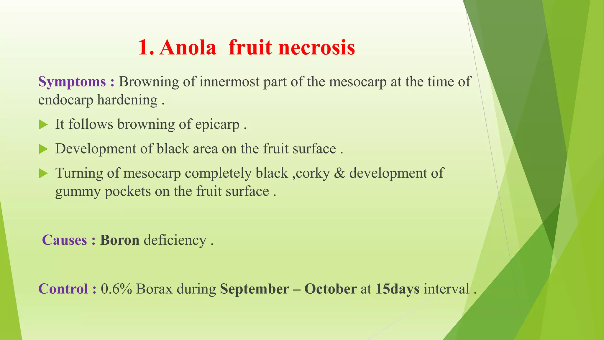 Physiological Disorders of fruit crops by Pooja | PPTX