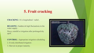 Physiological Disorders of fruit crops by Pooja | PPTX