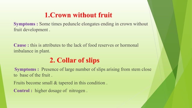 Physiological Disorders of fruit crops by Pooja | PPTX | Agriculture ...