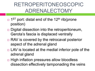 Disorders of adrenal gland | PPTX